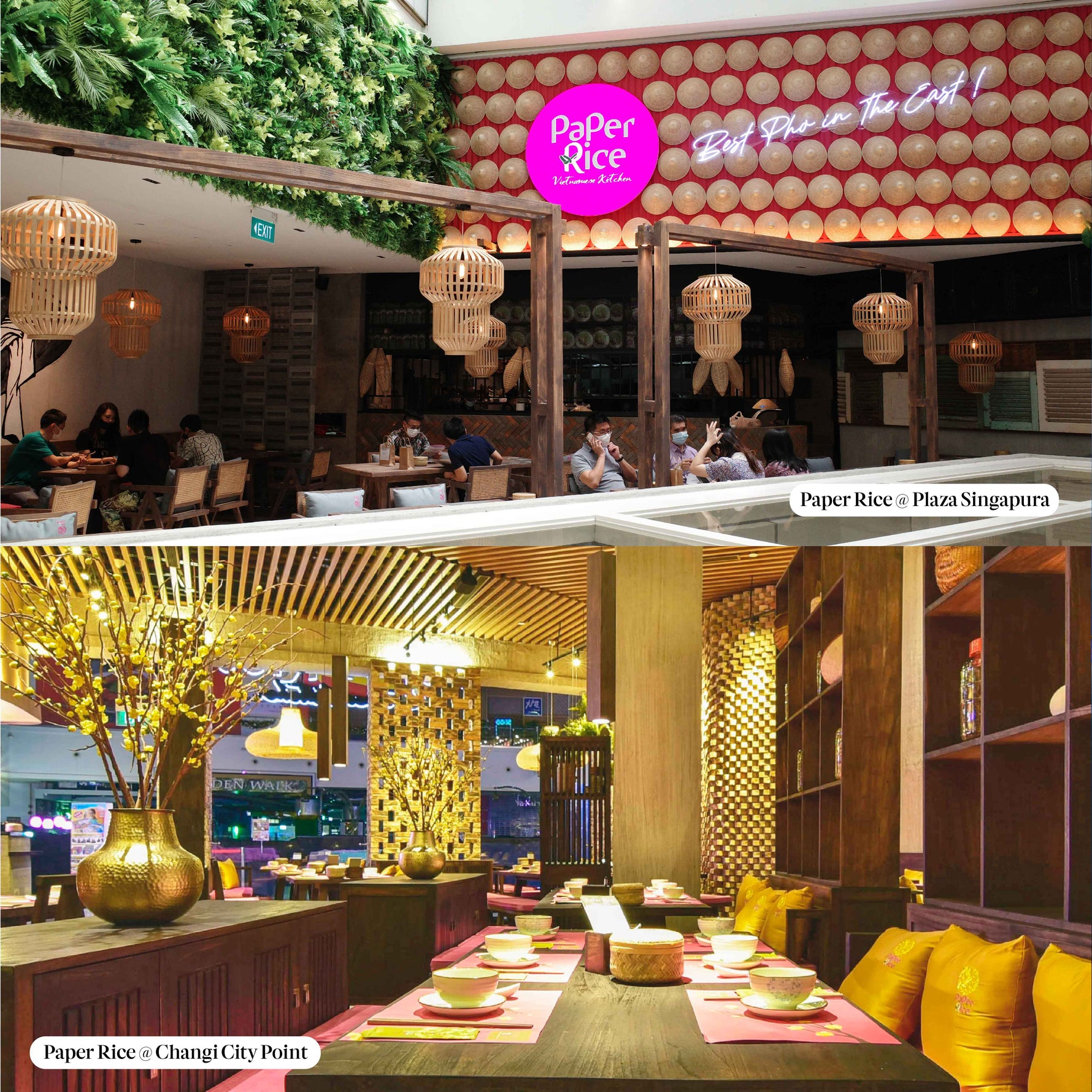 Paper Rice – Arteastiq Online